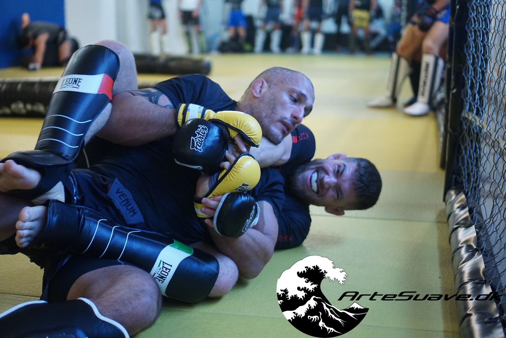 Home - Arte Suave BJJ og MMA i København