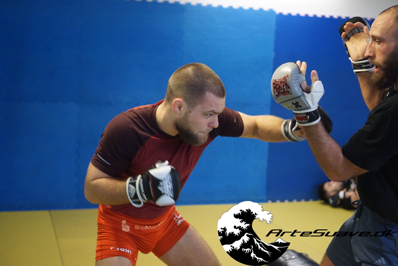 Home - Arte Suave BJJ og MMA i København