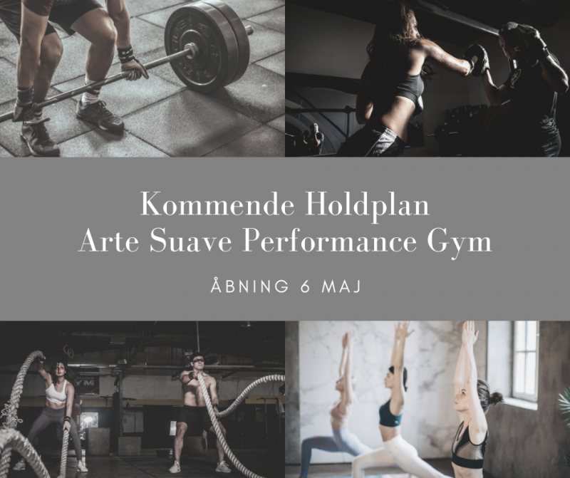 Kommende Holdplan Performance Gym - Arte Suave BJJ og MMA i København