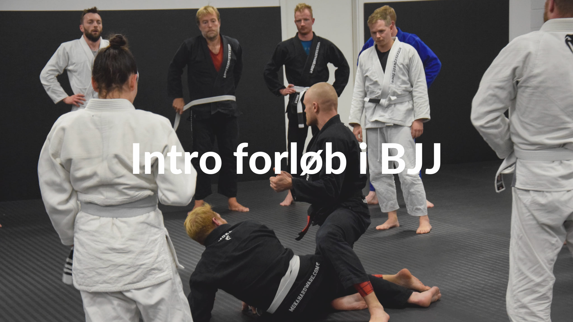 Home - Arte Suave BJJ og MMA i København